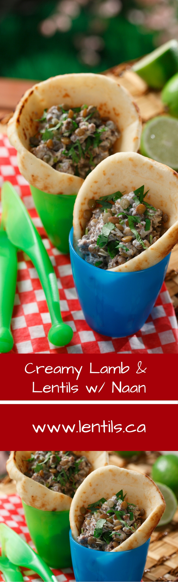 Creamy Lamb & Lentils with Naan – Lentils.org