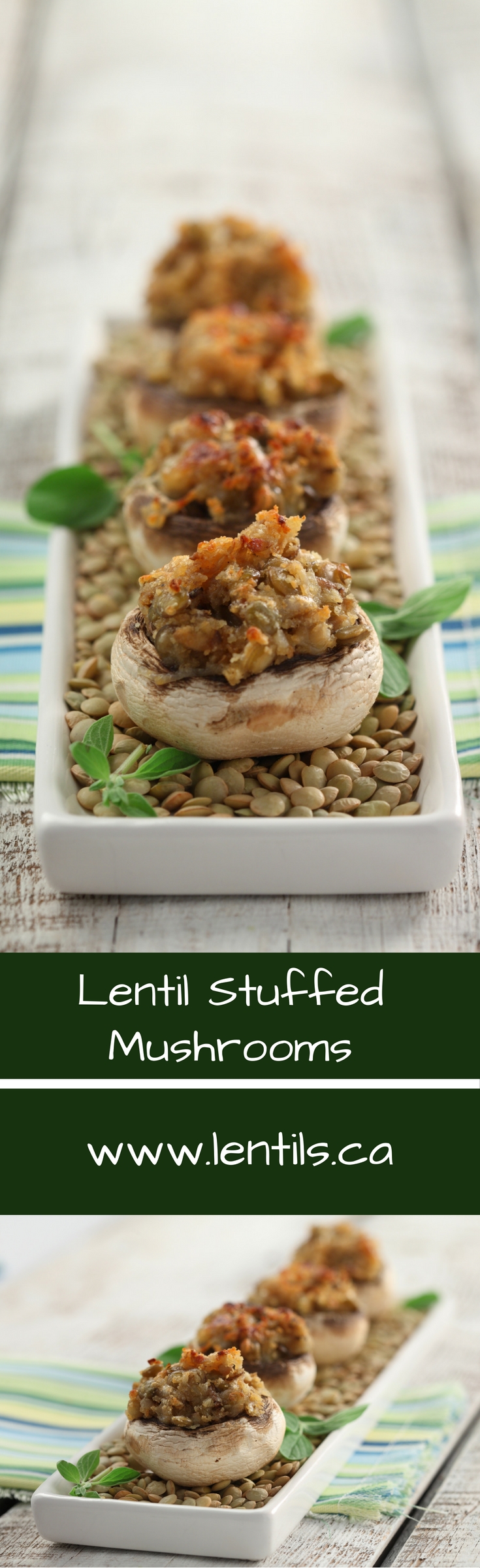 Lentil-Stuffed Mushrooms – Lentils.org