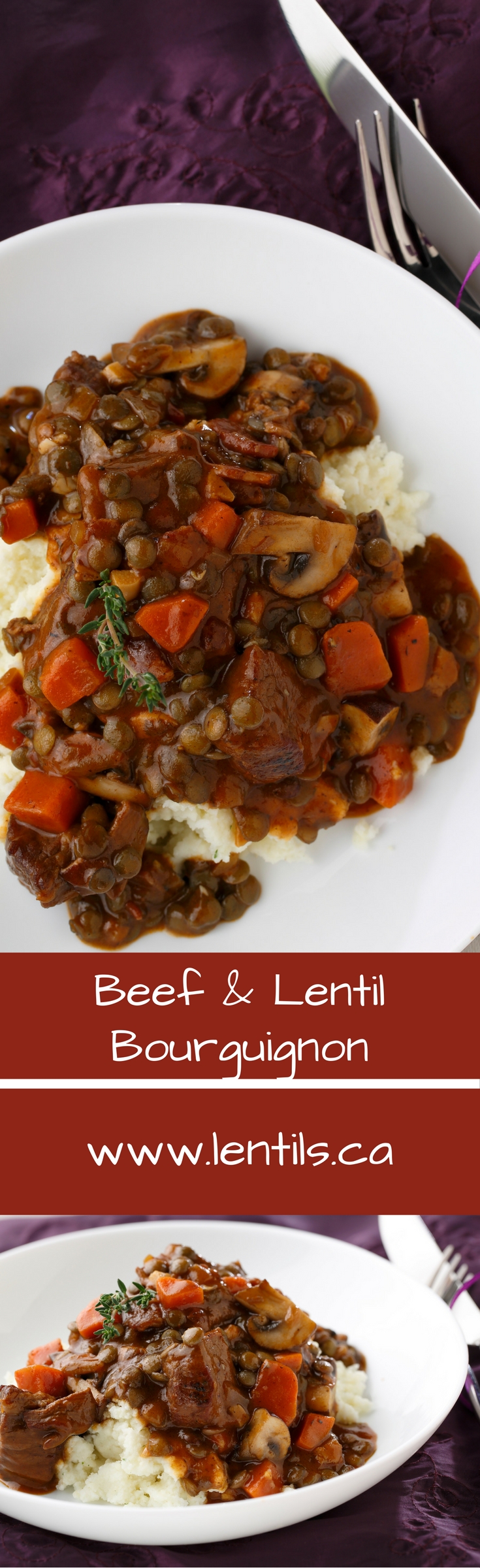 Beef & Lentil Bourguignon – Lentils.org