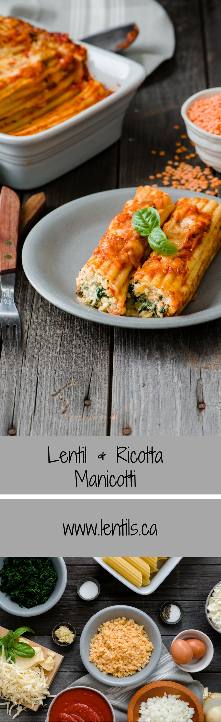 Lentil & Ricotta Manicotti in Marinara – Lentils.org