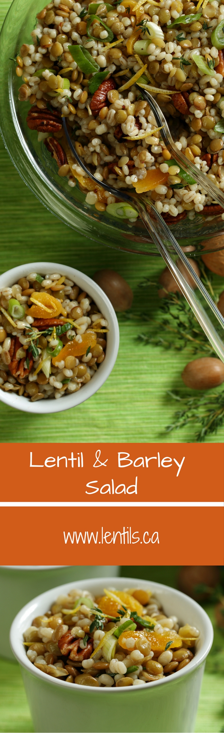 Lentil & Barley Salad with Thyme & Apricots – Lentils.org