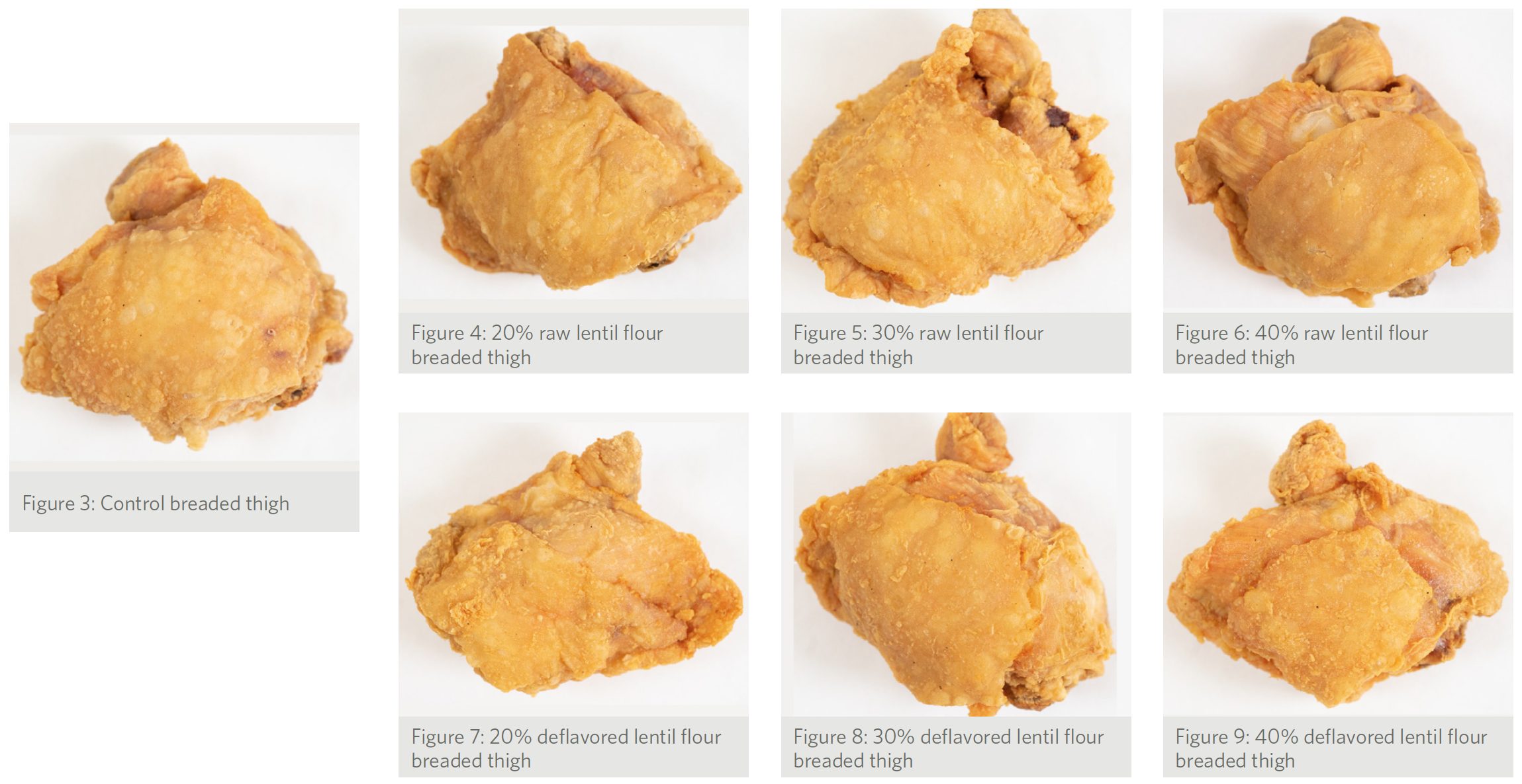 Flour Power: New Uses for Lentil Flour in Batters, Breading, and ...