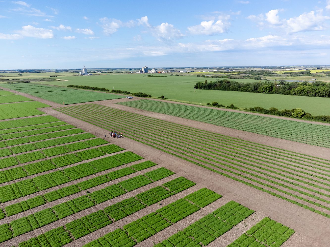 Immersive Farm Tour Experience Demonstrates the Journey of Lentils from ...