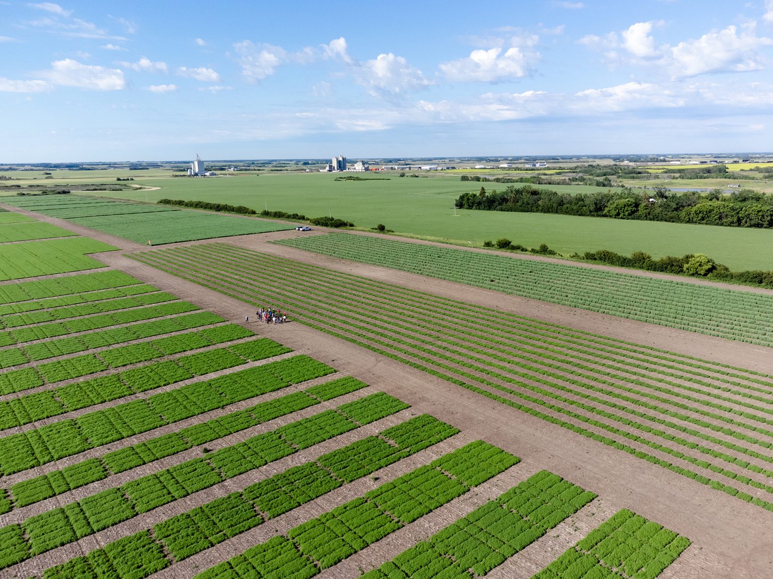 Immersive Farm Tour Experience Demonstrates the Journey of Lentils from ...